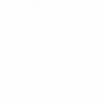 Winona Beach Resort – RV Sites & Rustic Cabins on Waitts Lake