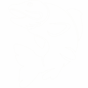 Winona Beach Resort – RV Sites & Rustic Cabins on Waitts Lake